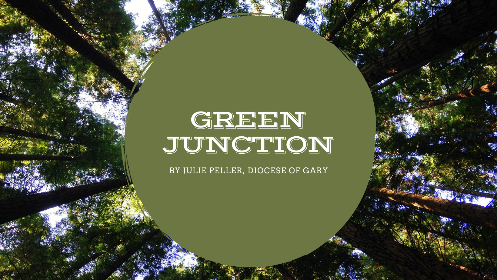 Green Junction: A lens through the world